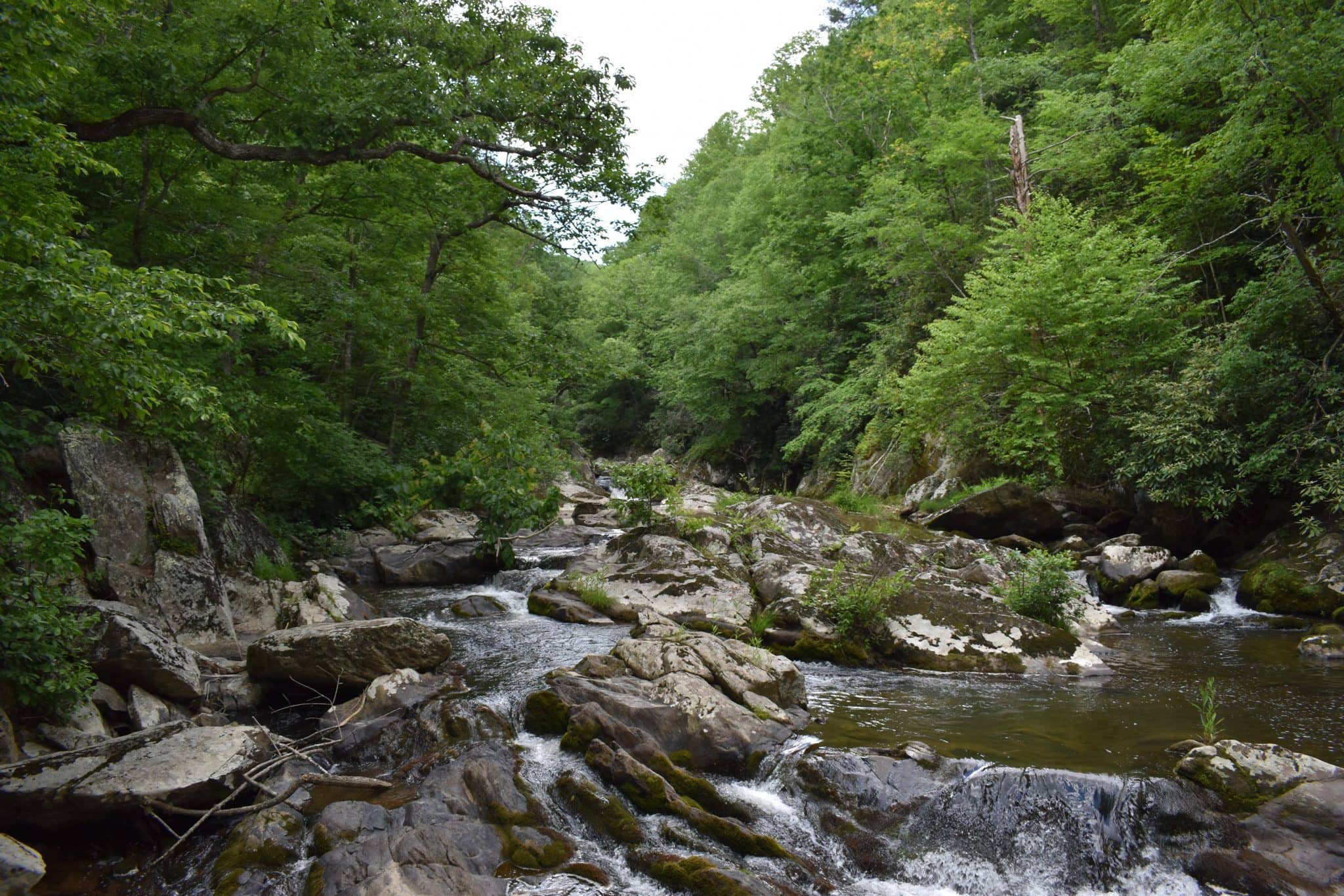 Bottom Creek Gorge – 2025 Unofficial Trail Guide | Yo! Noke