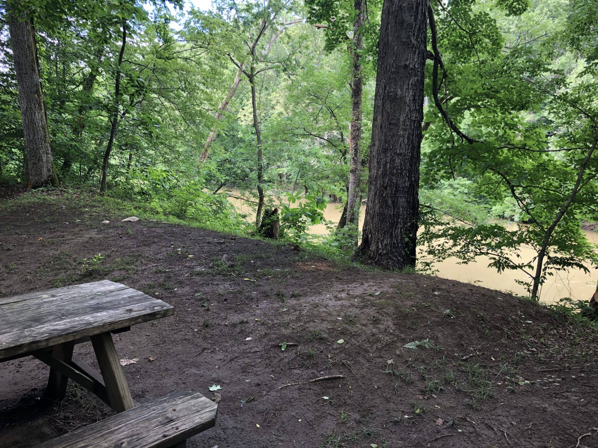 Explore Park – 2025 Unofficial Park Guide | Yo! Noke